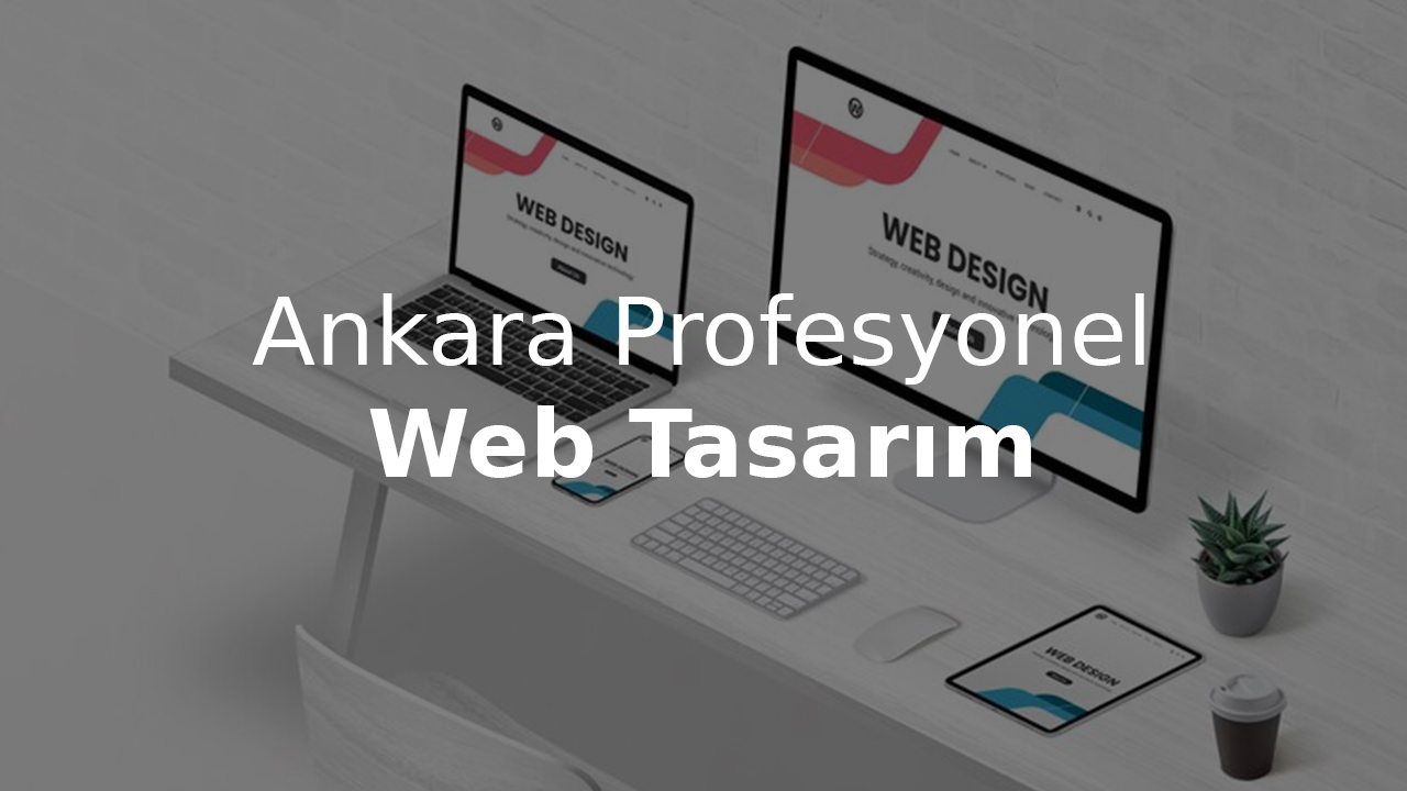 Ankara Profesyonel Web Tasarım | Vayes Ankara Profesyonel Web Tasarım | Vayes