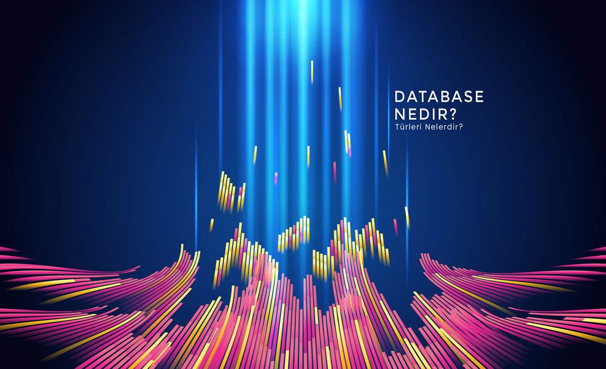Database (Veri Tabanı) Nedir ? | Vayes Digital